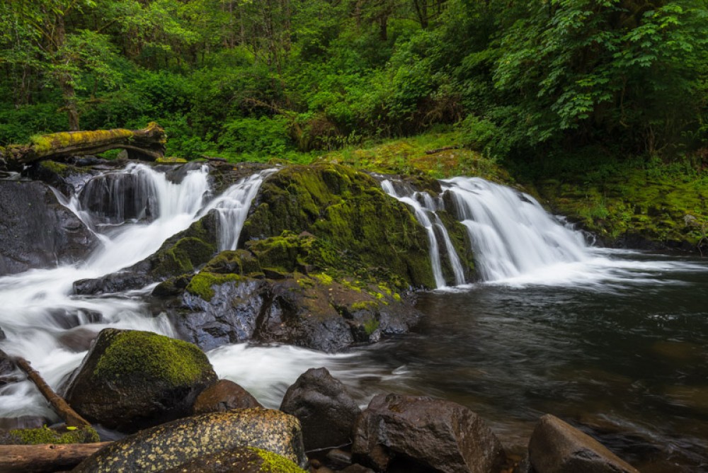 Homestead Falls, Lane County, Oregon - Northwest Waterfall Survey
